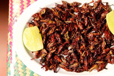 Chapulines | Mexican